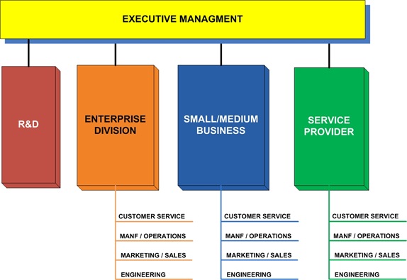 Cisco Systems : An analysis on Organizational Structure for Competitive ...